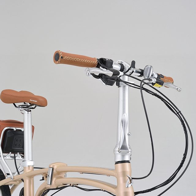 DE01 - 電動アシスト自転車デイトナモビリティ（レッド）｜Daytona Mobility